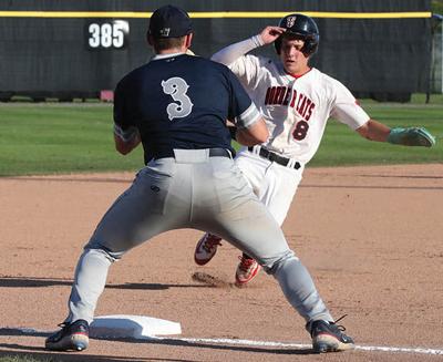 border cats schedule