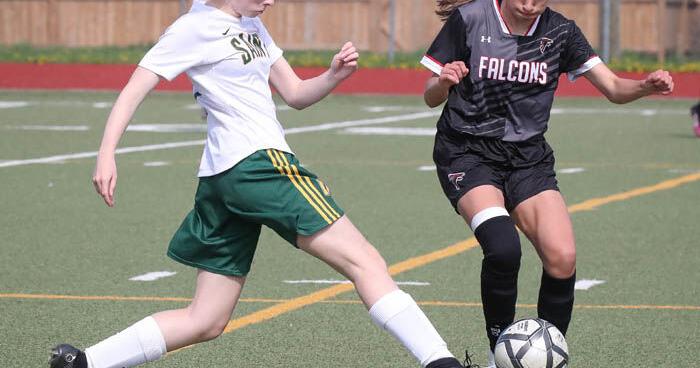 High school soccer champions crowned | Sports | chroniclejournal.com