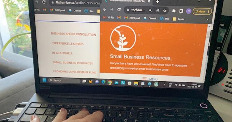 Survey seeks input from small businesses | Local Business ...