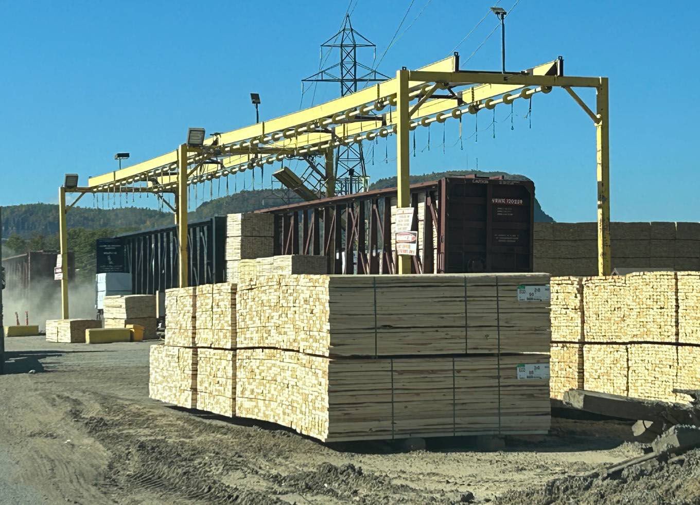 Economic resilience in face of uncertainty | Local News ...