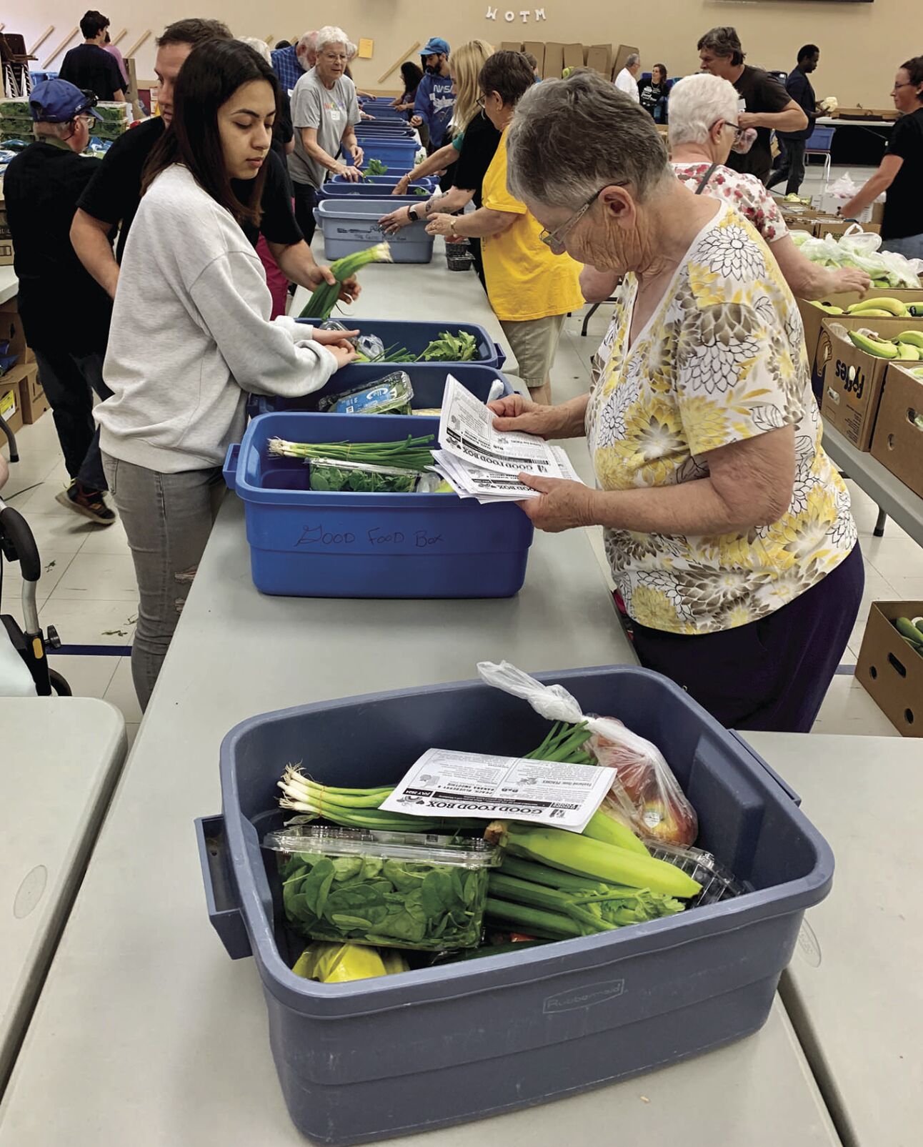 Good Food Box program bringing nutrition | Local News ...