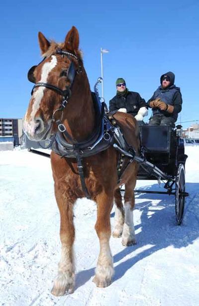 Snow sculptures, activities big draw | Local News | chroniclejournal.com