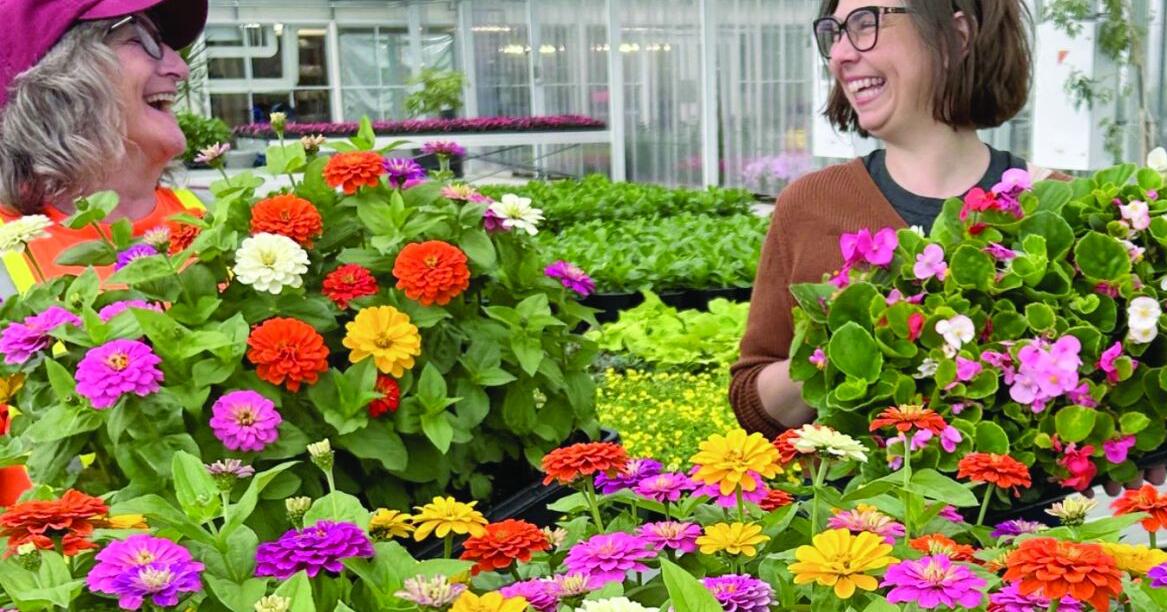 More than plants at Conservatory | Local Business | chroniclejournal.com