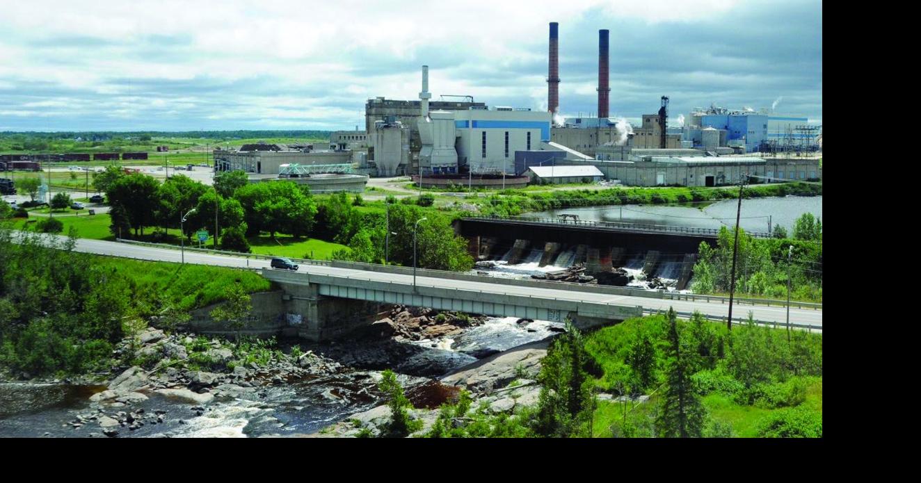 Gov't teamwork part of forestry sector stability: advocate | Local News ...