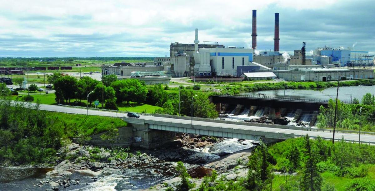 Gov't teamwork part of forestry sector stability: advocate | Local News ...