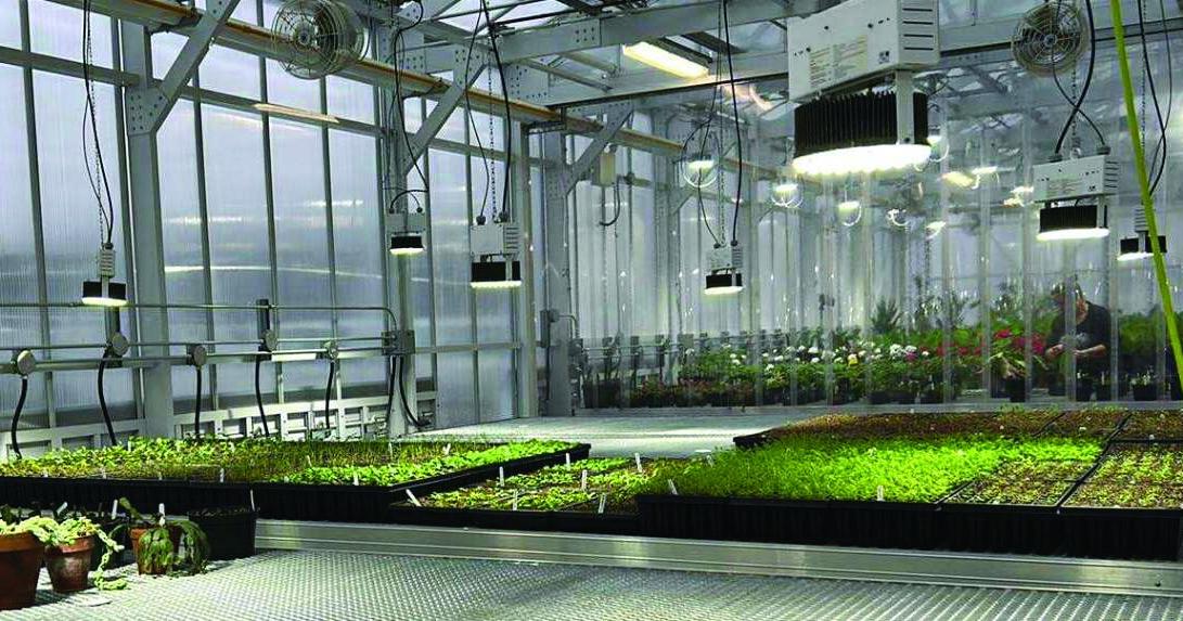 Soft opening bodes well for botanical conservatory | Local News ...