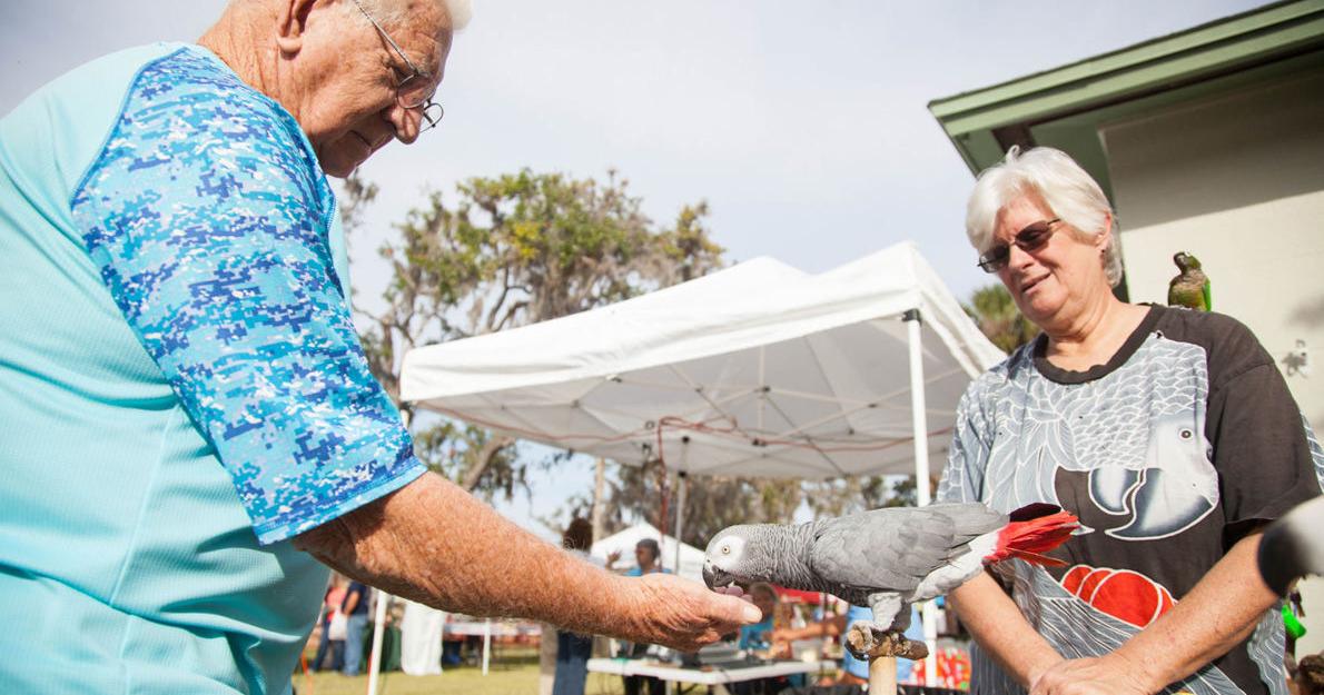 Ozello Arts, Crafts & Blue Crab Festival this weekend | Local News ...