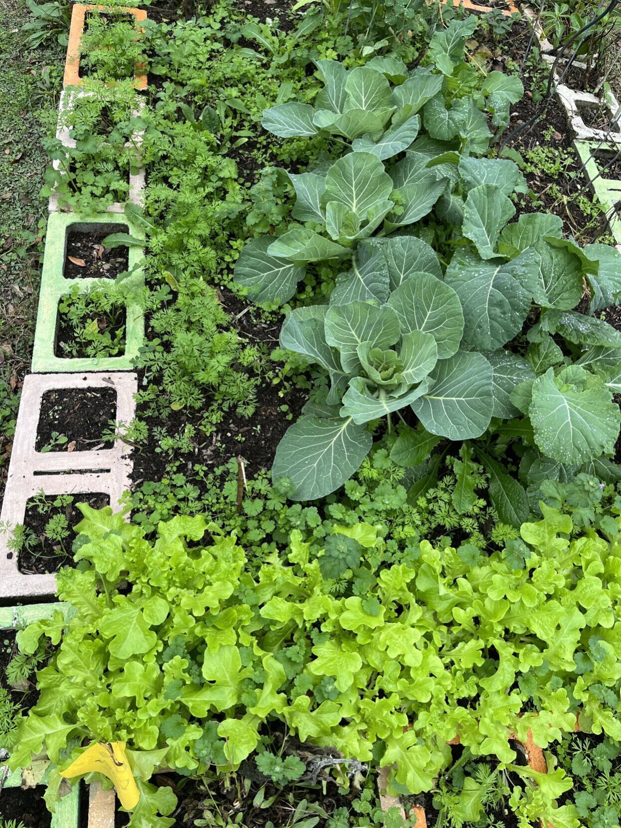 Page A7 | Riverland News | chronicleonline.com