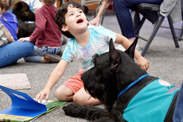 Paws for Friendship partners with local library for kids' reading to ...