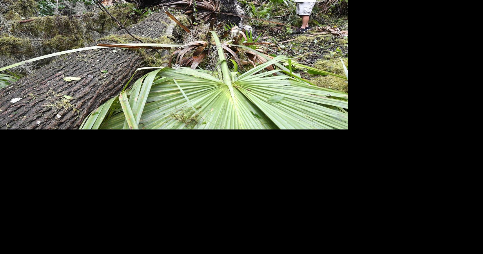 Chronicle week in review: A week of back-to-back hurricanes | Local ...