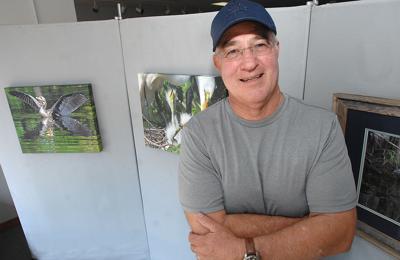 Shooting wildlife pictures | Local News | chronicleonline.com