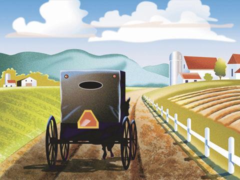 The Amish Cook: Gloria turns up the wheat | Let's Eat in Citrus County ...