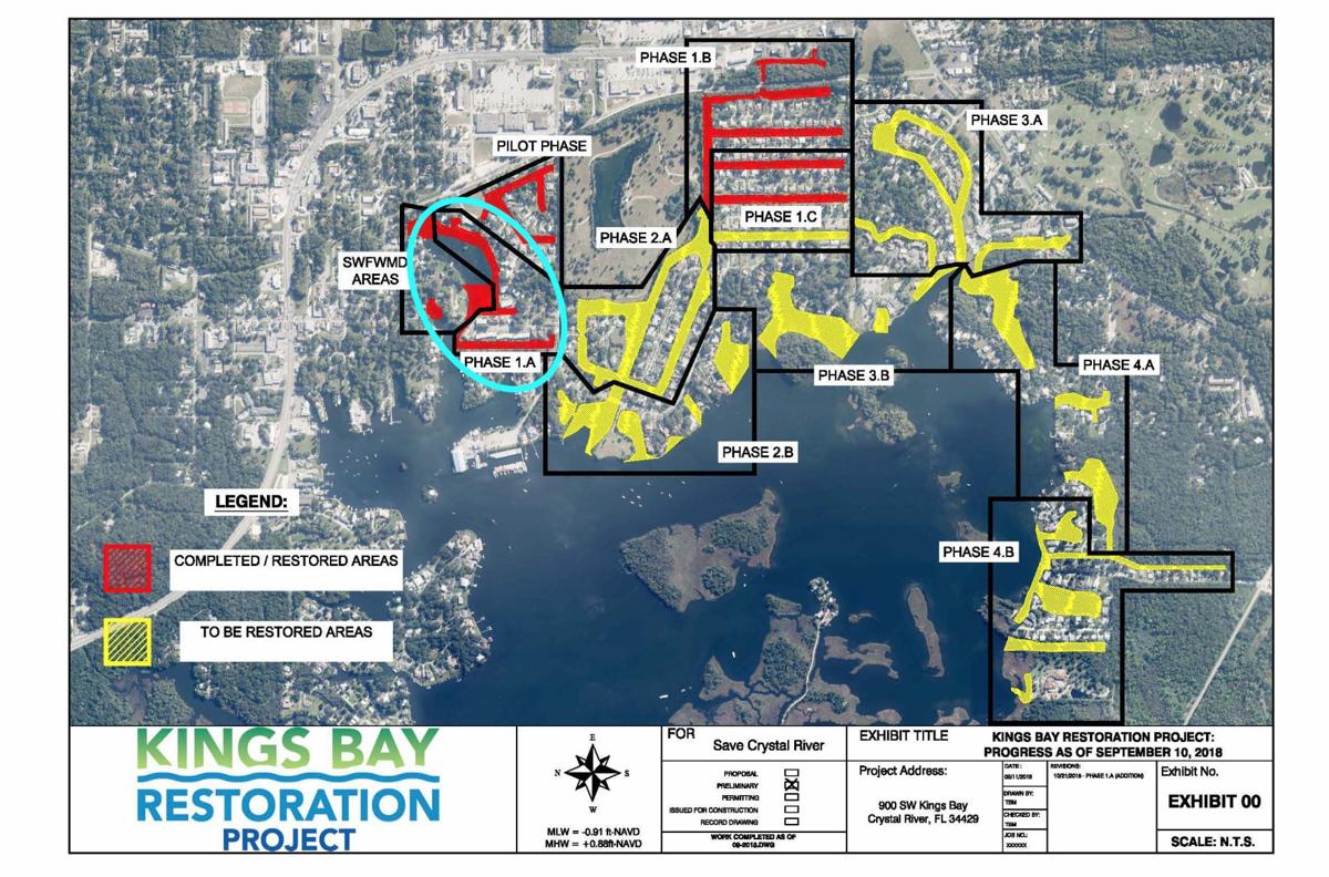 Study: Marine life making a home in SCR's restored areas of King's Bay ...