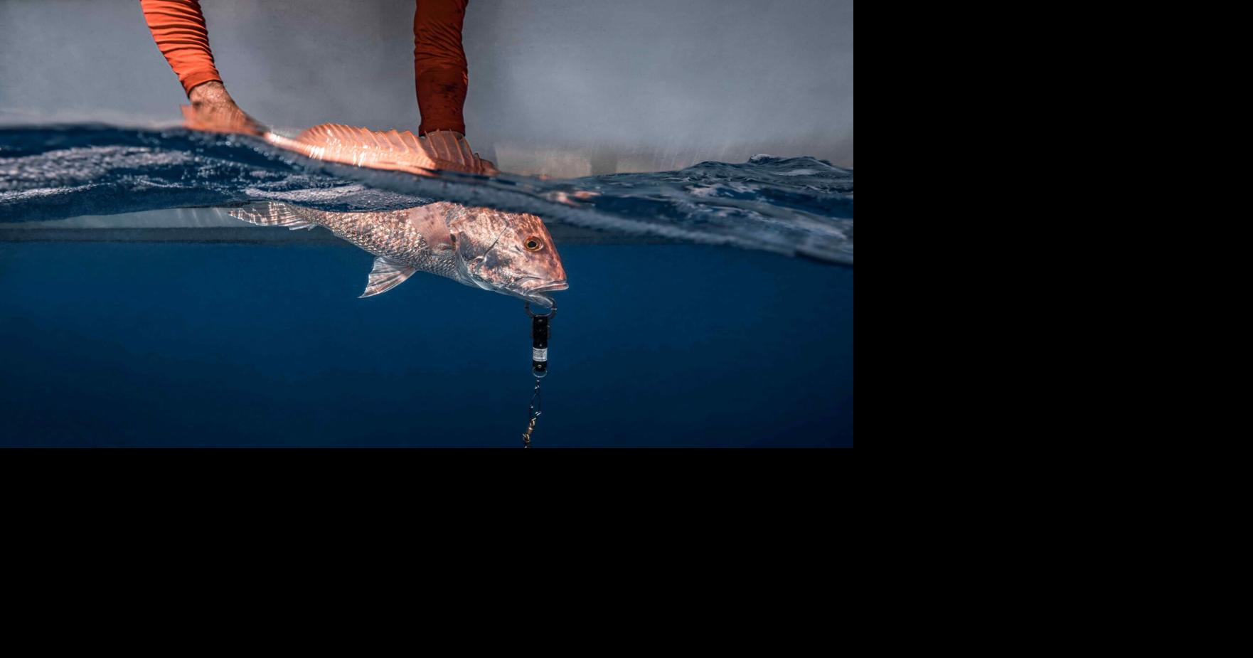 Return 'Em Right launches second consecutive photo contest. Runs June 1 ...