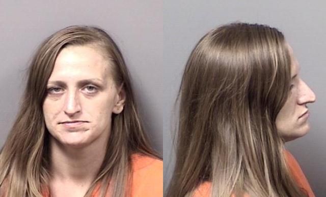 Citrus County Mugshots Sept. 18, 2017 | Crime & Courts ...