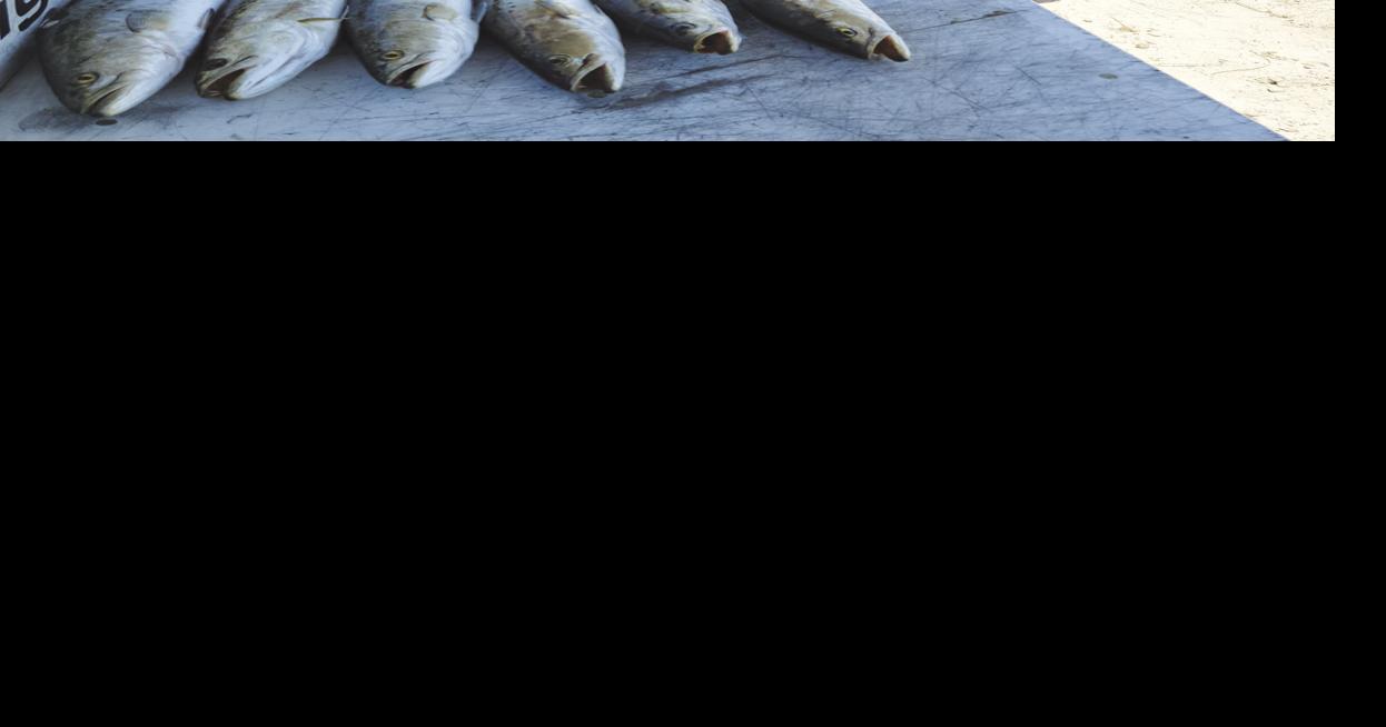 Finding the right fishing spot | Local News | chronicleonline.com