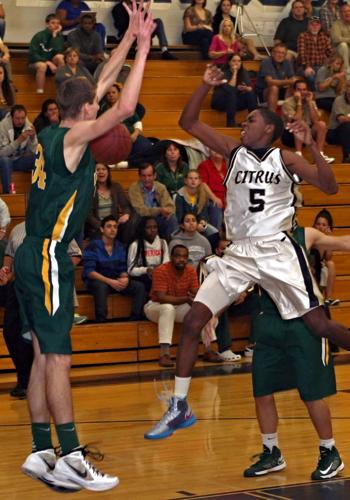 'Canes advance | Local Sports | chronicleonline.com