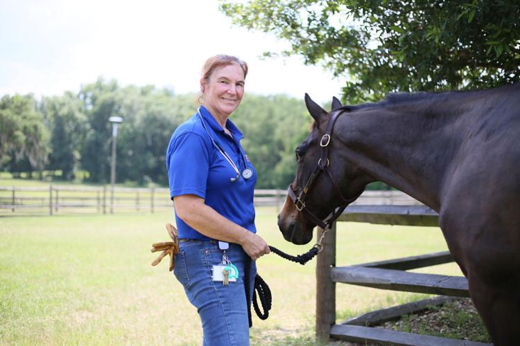 CF Vintage Farm to host Educational Field Day | Local News ...