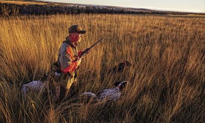 Goethe WMA general gun dog hunt runs Nov. 18-28, all hunting ...