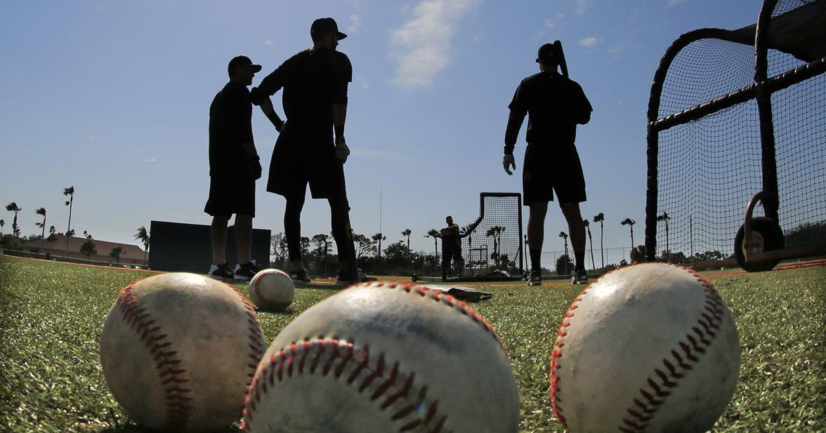 Pitchers and catchers report this week | Local Sports | chronicleonline.com