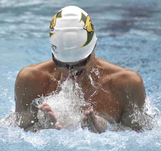 2023 All-Chronicle Boys Swimming and Diving Team | Local Sports ...