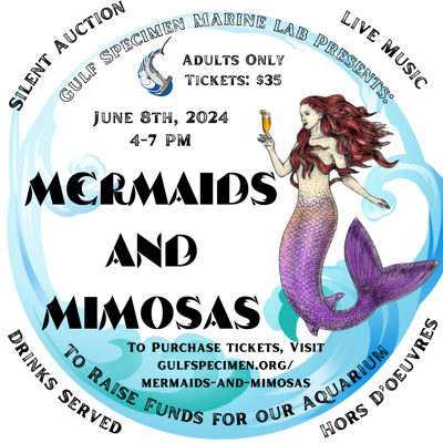 Gulf Specimen Marine Lab Hosts Mermaids and Mimosas Fundraiser with ...