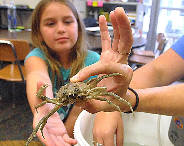 As year winds down, students get scientific surprise | Local News ...