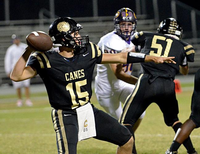 Destructive Hurricanes | Sports | Citrus County Chronicle ...