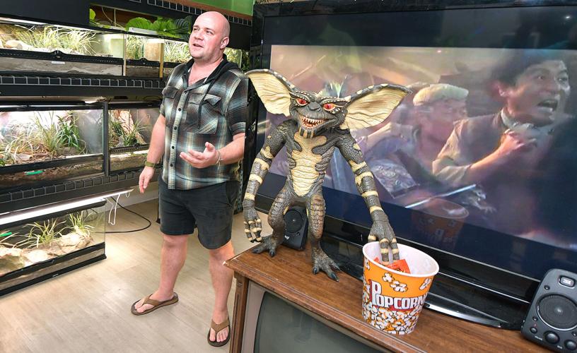 Now that’s different: A giant radioactive love for reptiles and ...