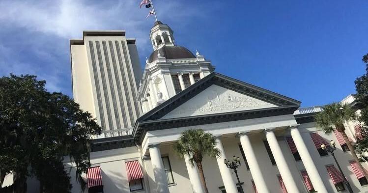 Florida's new laws target health care for people and pets | Riverland ...