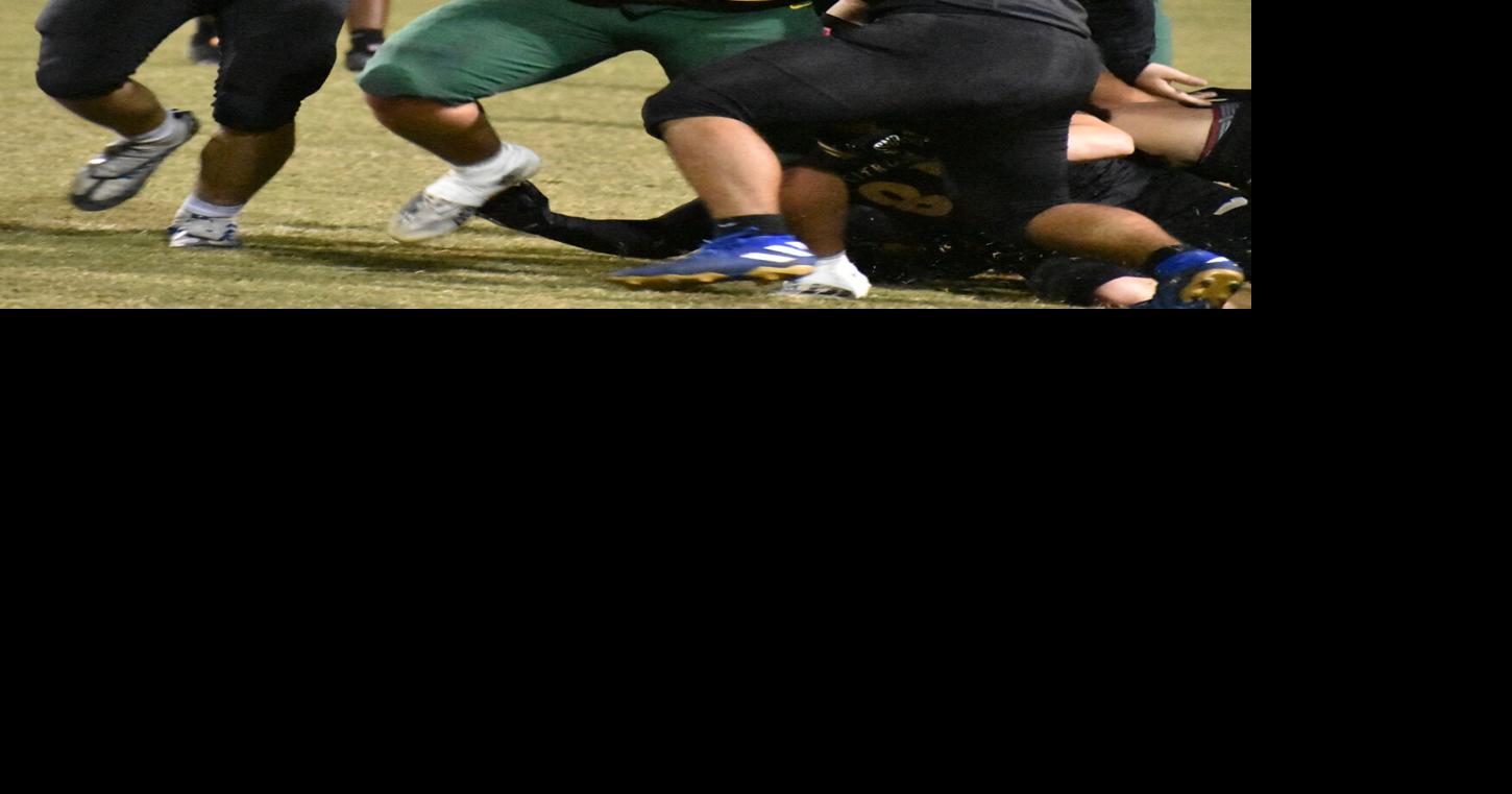 Lecanto on top again | Local Sports | chronicleonline.com