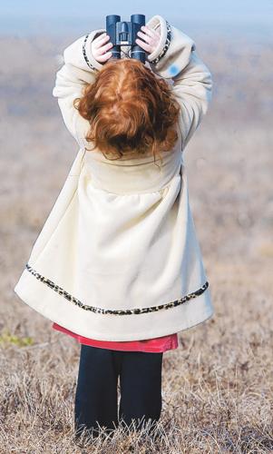 ‘The cranes! The cranes!’ | Local News | chronicleonline.com