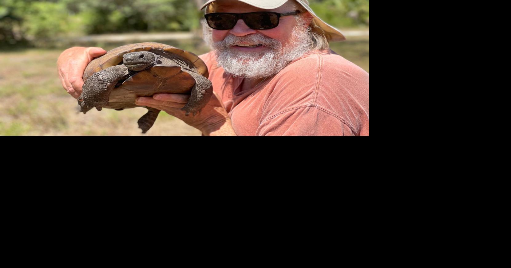 Learn about gopher tortoise conservation | | chronicleonline.com