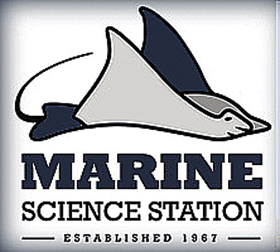 Marine Science Station supervisor Earnie Olsen wins service award ...