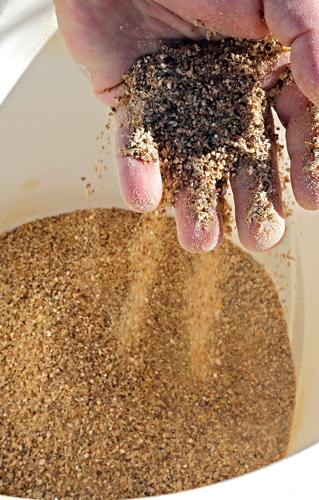 A taste for the craft | Local News | chronicleonline.com