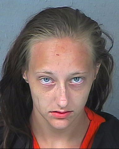 Authorities: Meth cook severely burned | Local News | chronicleonline.com