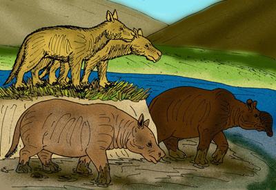 Ode to the oreodont: History program to explore one of Florida’s ...