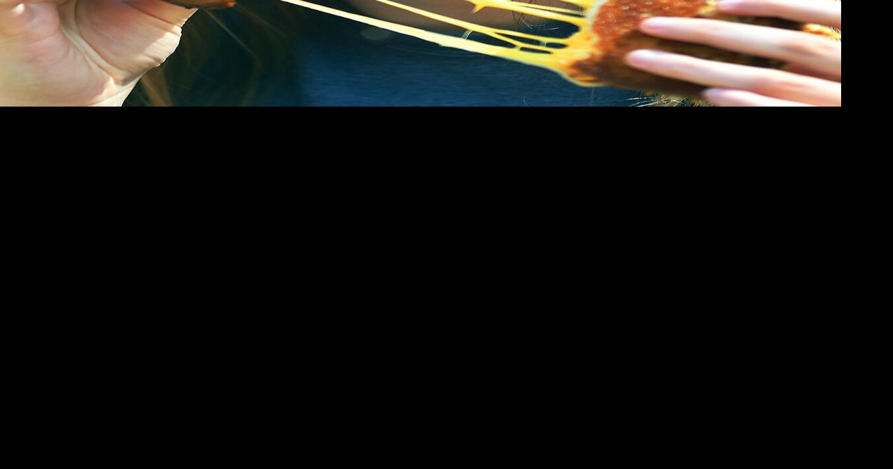 From the streets to the kitchen, Chef Robert Hesse tells his story of ...