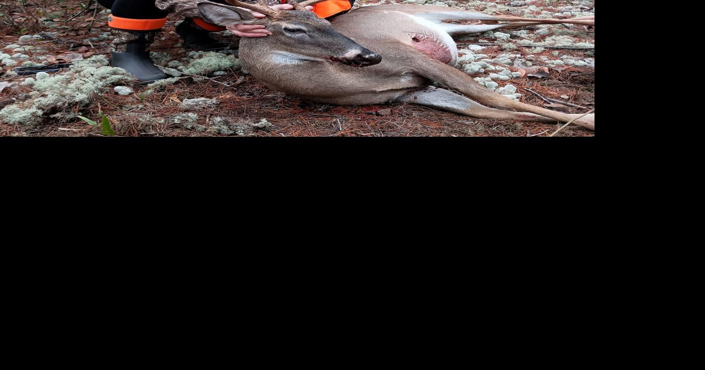 Deer Season Success for Local Hunters | Local News | chronicleonline.com