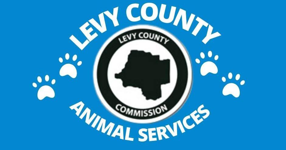 BOCC approves Animal Services Strategic Plan | Local News ...