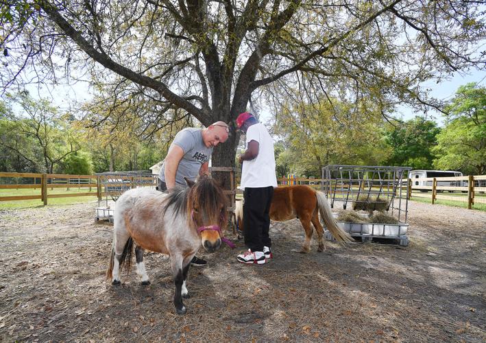 Horse-powered therapy: Healing Hearts Farm uses miniature horses to ...