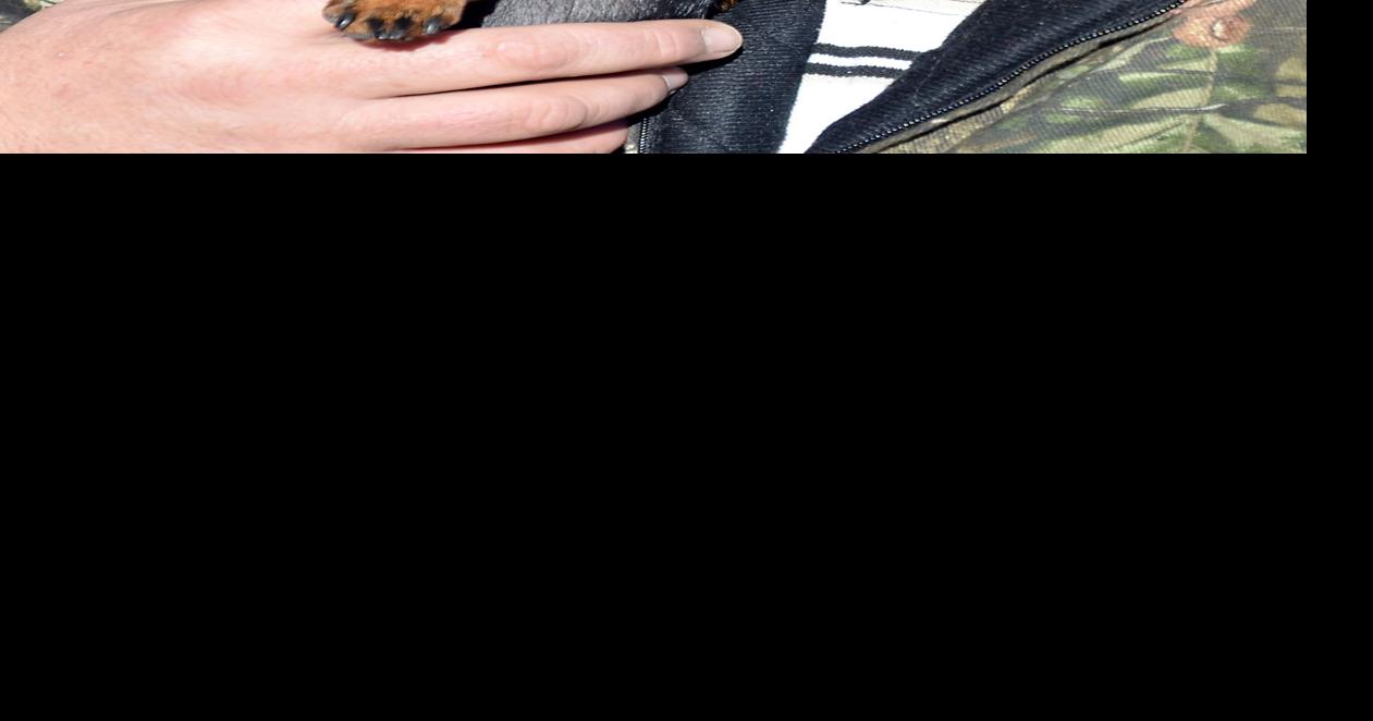 Saving man’s best friend | Local News | chronicleonline.com