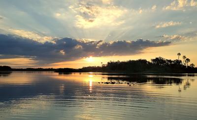 Homosassa River Alliance saved from disbanding as new president steps ...