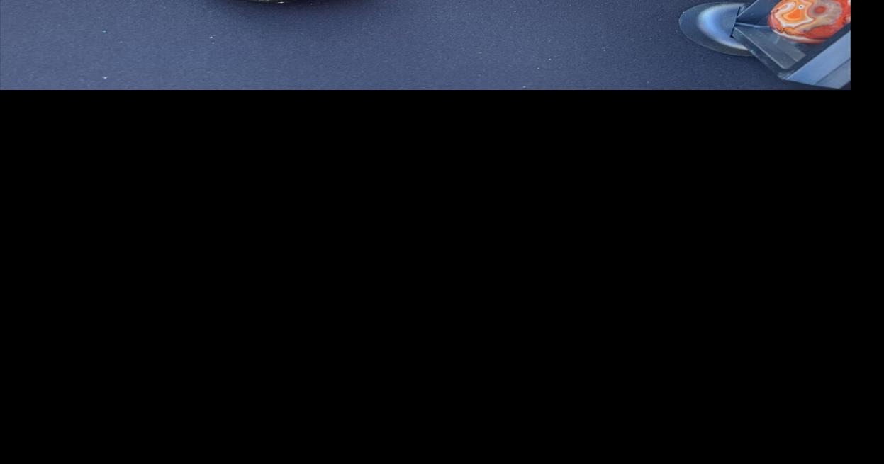 The Panacea Fall Craft Show Photo Gallery | Wakulla News ...