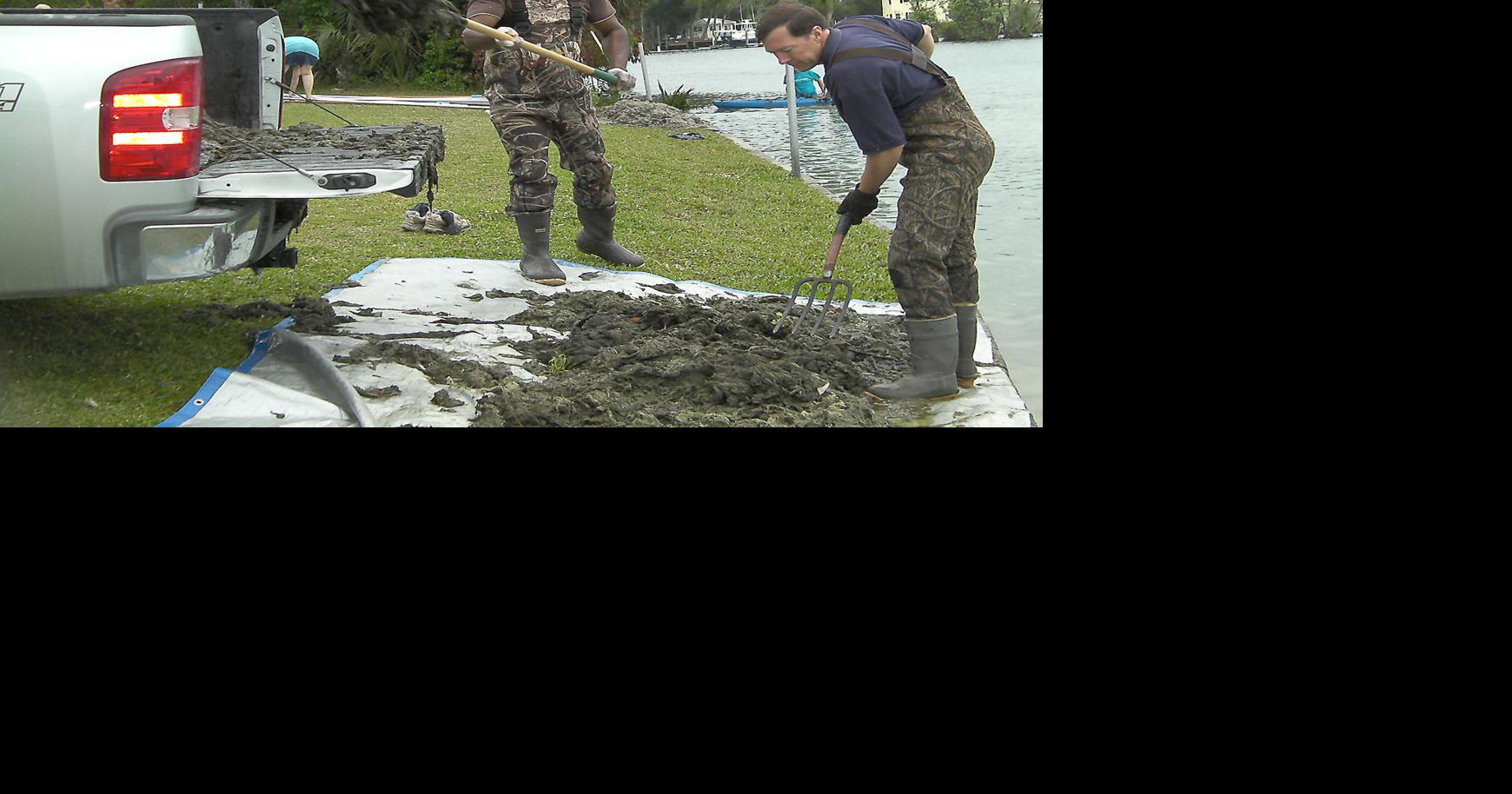 Spring cleaning | Local News | chronicleonline.com