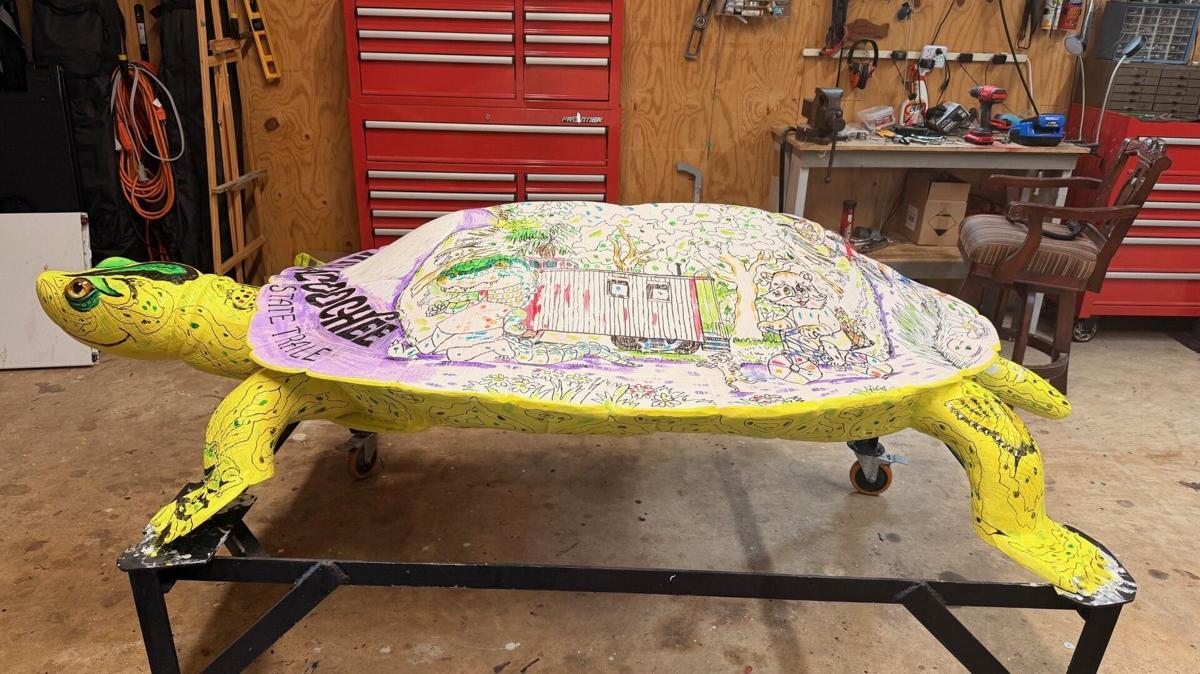 Inverness art group seeks Guinness record for giant painted turtle ...