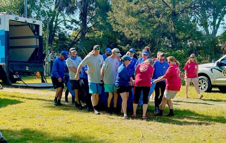 Toast returns to Crystal River; manatee had been in rehabilitation ...