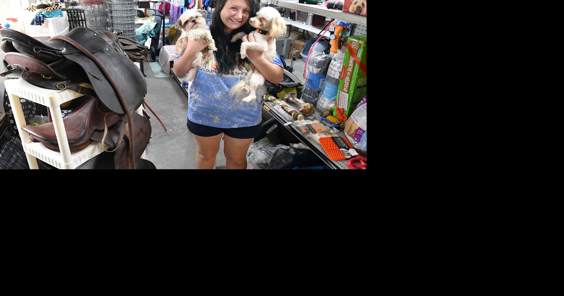 Comings & Goings: New thrift store caters to animals | Local News ...