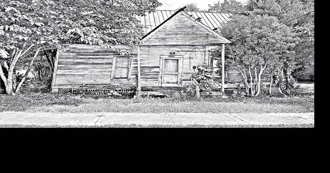 Bringing Dunnellon history to life in art | Entertainment in Citrus ...
