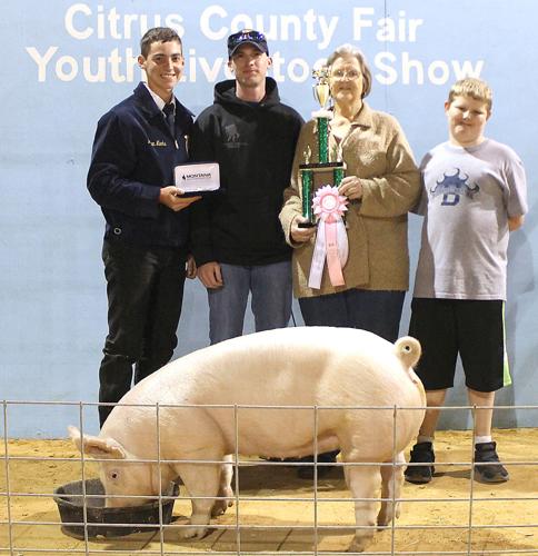 Thursday at Citrus County Fair | Local News | chronicleonline.com